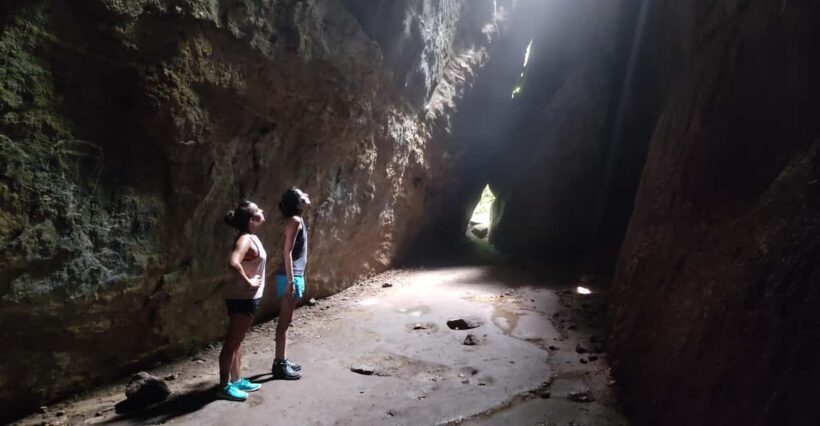 Tijuca National Park and all its wonders! - An In-Depth Look at the Tijuca National Park Tour