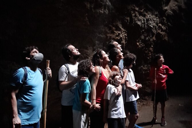 Tijuca National Park and All Its Wonders - Customizing the Tour to Suit Group Needs