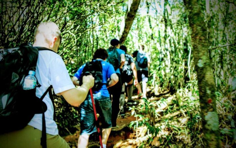 Tijuca National Park Small-Group Hike to Pedra Bonita - The Experience in Detail