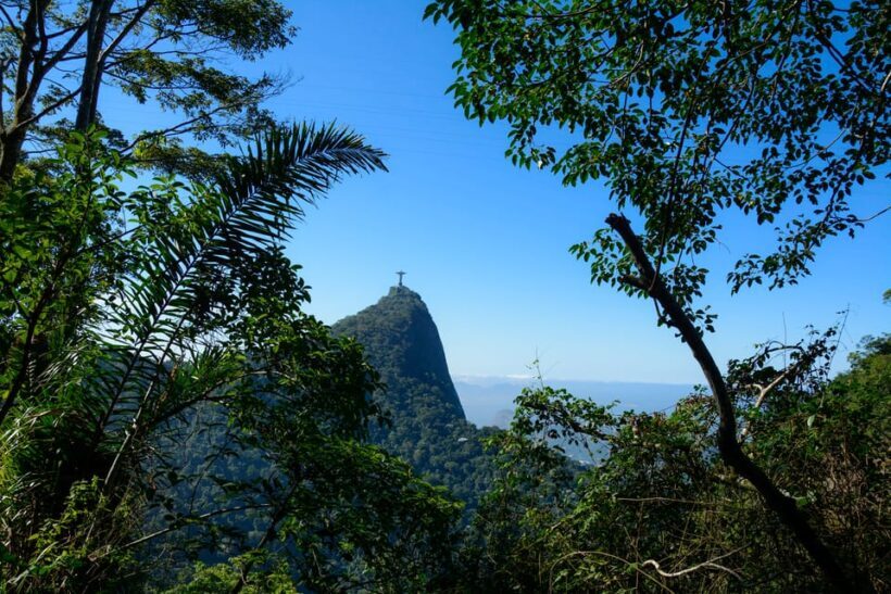 Tijuca National Park with a Photographer - Tijuca National Park: An Urban Forest Oasis