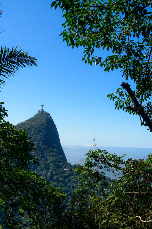 Tijuca National Park with a Photographer - FAQs