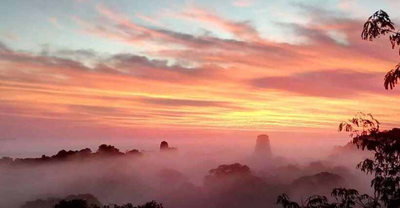 Tikal Day Group Tour - An Inside Look at the Tikal Day Group Tour