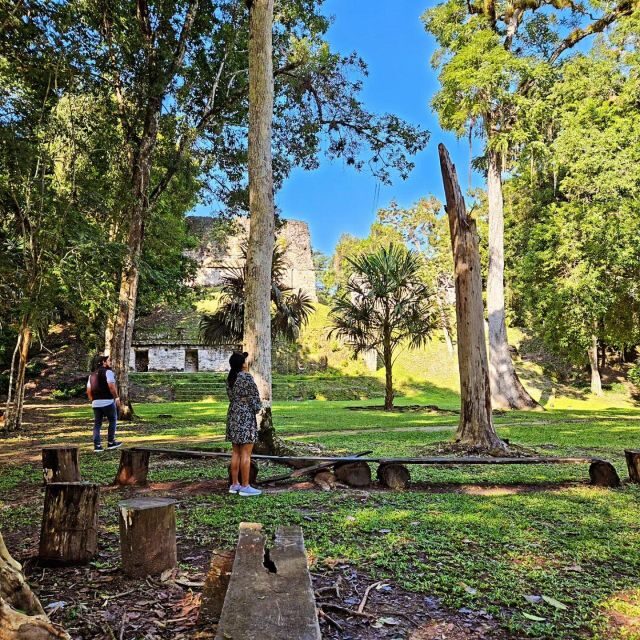 Tikal From Flores: With Transportation Lunch and Local Guide - Final Thoughts