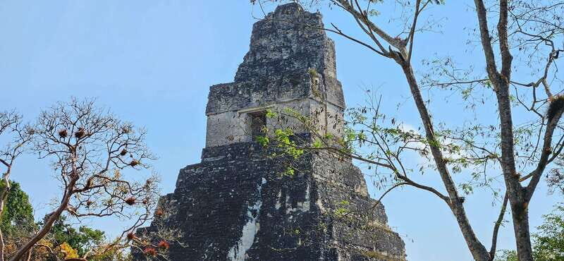 Tikal from Hotel Camino Real El Remate - All Inclusive - Practical Tips for Tour Day