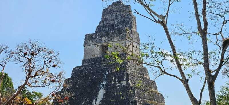 Tikal from Hotel Camino Real El Remate - All Inclusive - The Sum Up: A Solid Choice for a Memorable Day