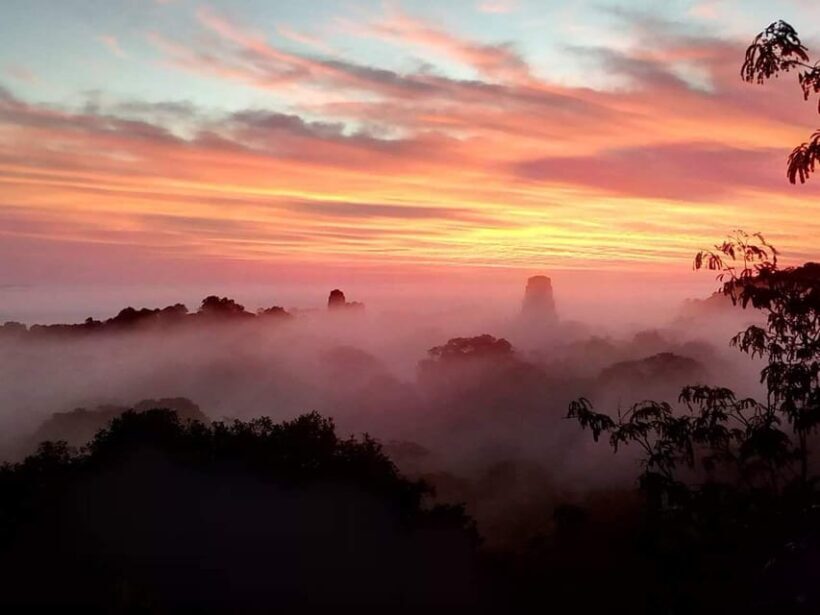 Tikal Privade Tour all included - Why This Tour Offers Great Value