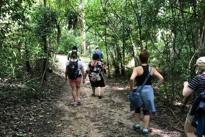 Tikal Private Day Tour Maya Adventure From Flores - Personalized Experience