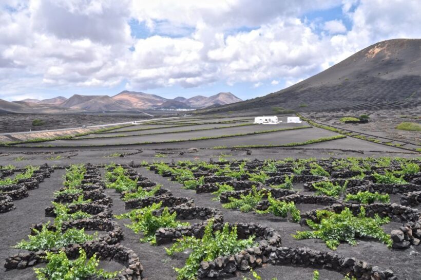 Timanfaya And El Golfo For Cruise Passengers (Mornings) - Who Will Love This Tour?