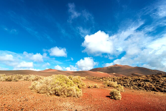 Timanfaya & Lanzarote Volcano Experience - Who Will Enjoy This Tour?