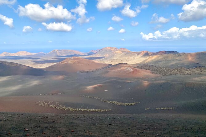 Timanfaya National Park Morning Tour - Considerations for Travelers