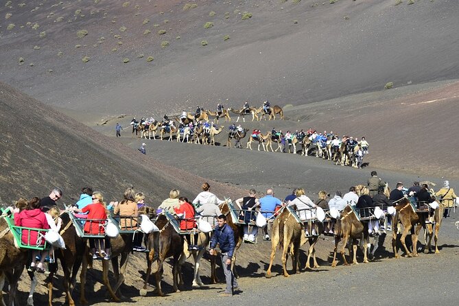 Timanfaya Park & Camel Ride (Extra Cost) - Short South Tour - Additional Tour Details
