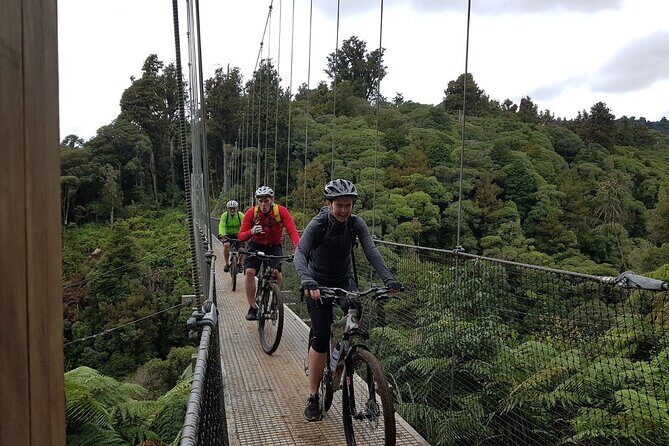 Timber Trail - Ongarue to Pureora Shuttle 2 Day Ride - Key Points