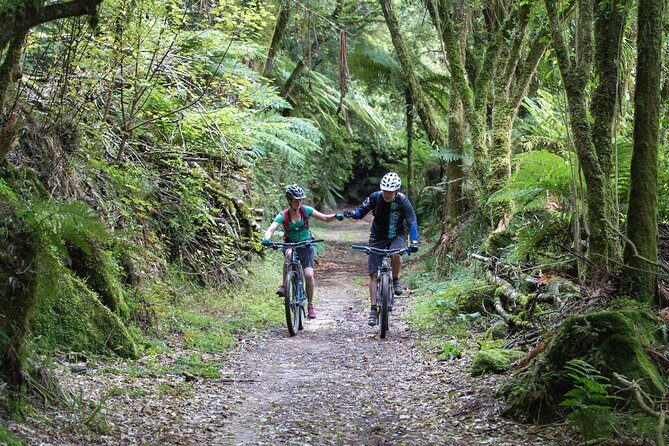Timber Trail - Ongarue to Pureora Shuttle 2 Day Ride - The Route and Whats Special About It