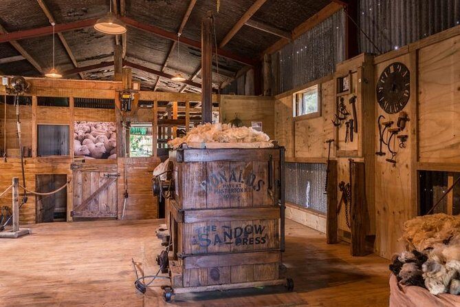 Timber Trail - Ongarue to Pureora Shuttle 2 Day Ride - The Scenic and Cultural Highlights