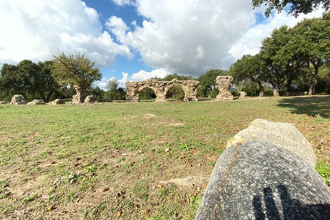 Time Travel - Discover the Ancient Treasures of Sardinia - Final Thoughts: Who Is This Tour For?