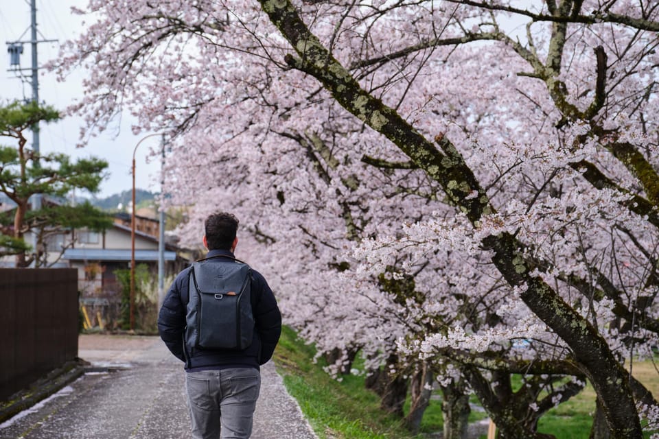 Timeless Takayama: A Walk Through History and Beauty - Historic Streets and Tranquil Parks