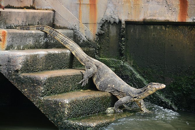 Timeless Thonburi Canal and Food Tour - Frequently Asked Questions