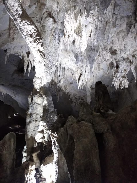 Timisoara: Oradea City Tour and Trip to Apuseni Caves - Who Should Consider This Tour?