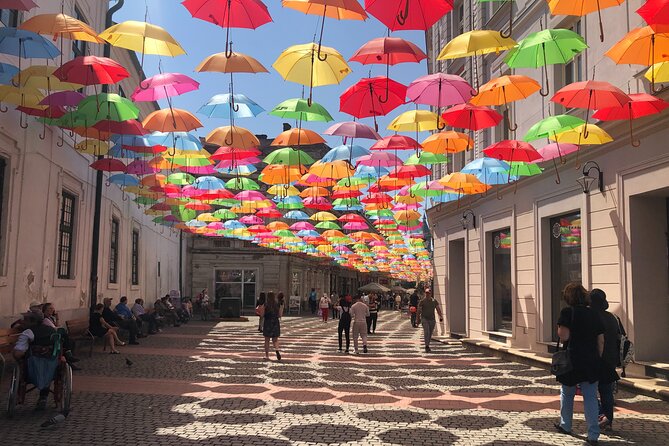 Timisoara Shared Guided Tour Review - Immersive Historical Insights