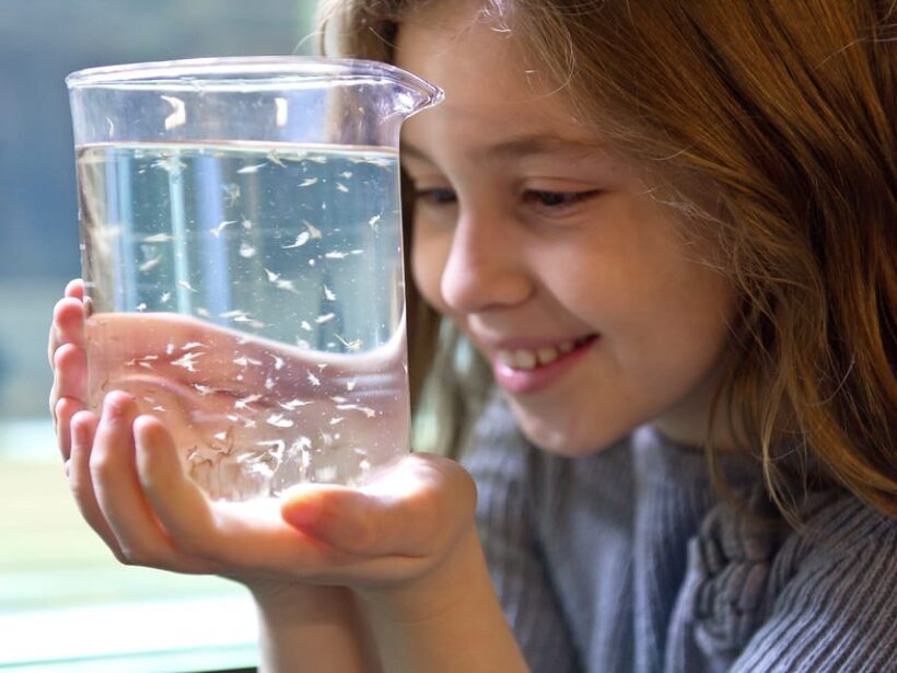 Timmendorfer Strand: SEA LIFE Behind the Scenes Tour - FAQs