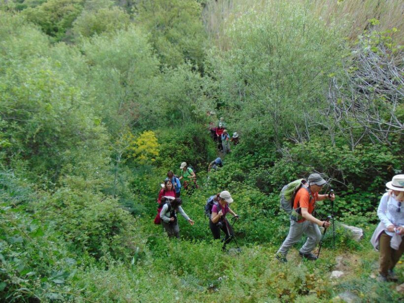 Tinos: Tarampados to Komi Guided Hiking Tour - An Inviting Introduction to Tinos’ Villages
