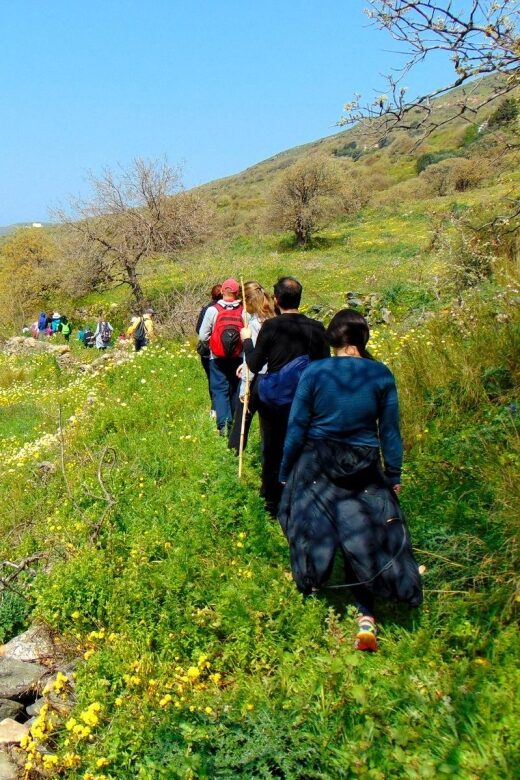 Tinos: Tarampados to Komi Guided Hiking Tour - The Practical Side: What’s Included and How It Works