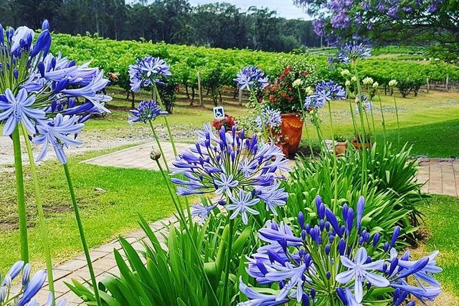 Tintilla Estate: Wine Tasting with a Meat and Cheese Platter - FAQ