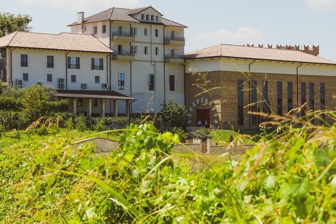 Tirana Lundra Winery Guided Tour with Wine Tasting - Is This Tour Right for You?