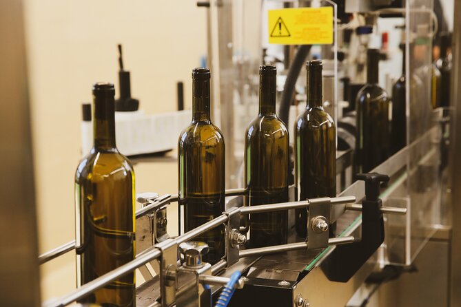 Tirana Lundra Winery Guided Tour with Wine Tasting - Final Thoughts: Who Will Love This Experience?