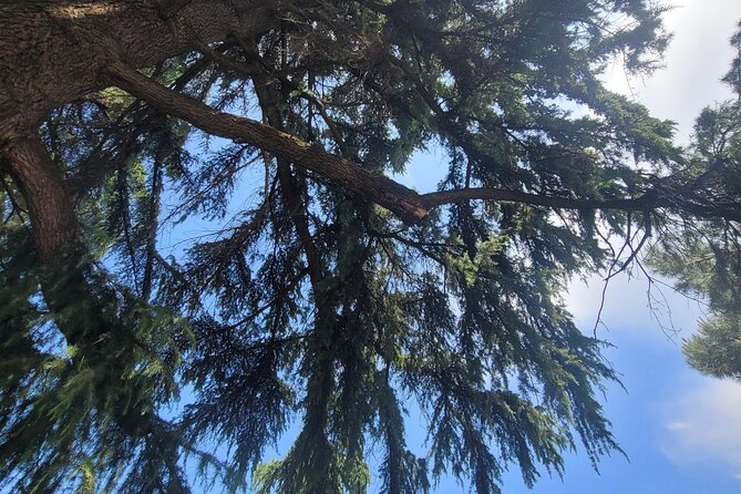 Tiranas Communist Past: A Tasting Tour with Traditional Lunch - The Sum Up