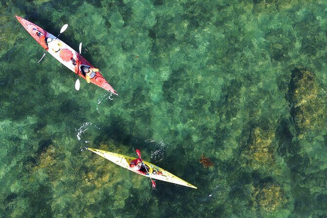 Tiritiri Matangi Sea Kayak Tour - An Overview of the Experience