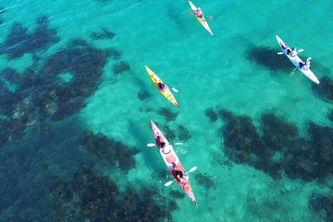 Tiritiri Matangi Sea Kayak Tour - Authentic Experiences and Real Feedback