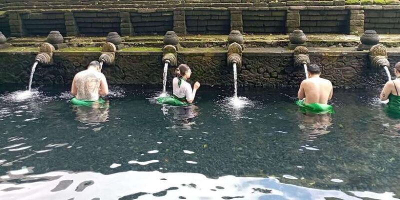 Tirta Empul: Highlights Tour with Cleansing & Rice Terrace - What to Expect