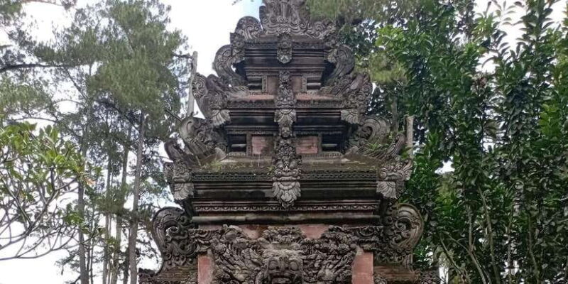 Tirta Empul: Highlights Tour with Cleansing & Rice Terrace - In-Depth Itinerary Breakdown