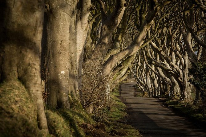Titanic Experience and Giants Causeway Tour From Belfast - Visiting Game of Thrones Locations
