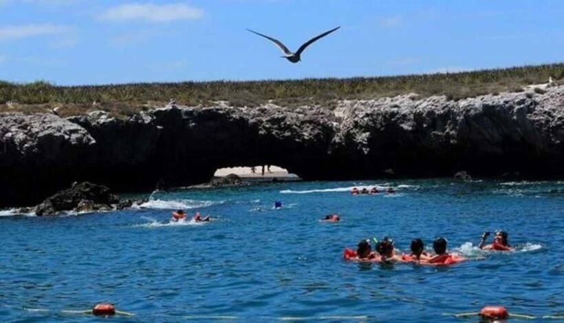Title: Puerto Vallarta: Marietas Island Adventure - Key Points