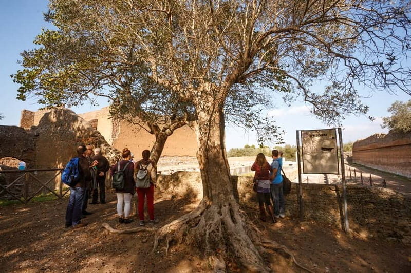 Tivoli: Entrance Ticket to Villa Adriana & App Audioguide - The Experience at Villa Adriana: What to Expect and Why It Matters