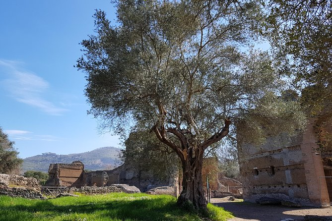 Tivoli Villas Full Day Trip From Rome With Lunch - Strolling Through Tivoli Town