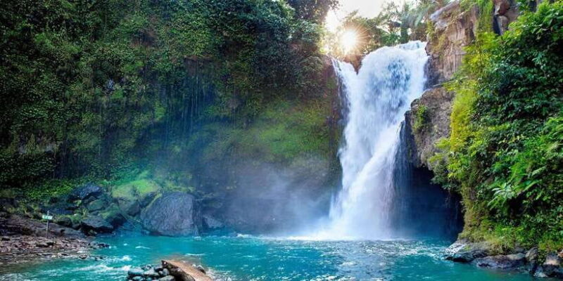 Tlaga singha Ubud infinity Pool+Monkey Forest + Water fall - The Sum Up