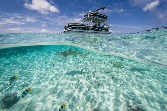 Toa Boat Bora Bora Private Lagoon tour On Ambassador Boat - Who Should Consider This Tour?