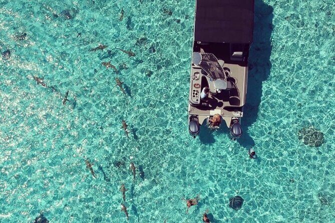 Toa Boat Bora Bora Private Lagoon tour with Lunch on Entertainer Bar Boat - Who Should Consider This Tour?