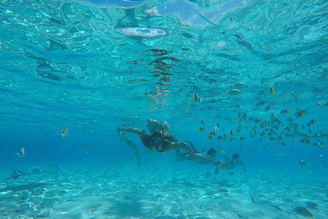 Toa Boat Bora Bora Private Lagoon tour with Lunch on Entertainer Bar Boat - Frequently Asked Questions