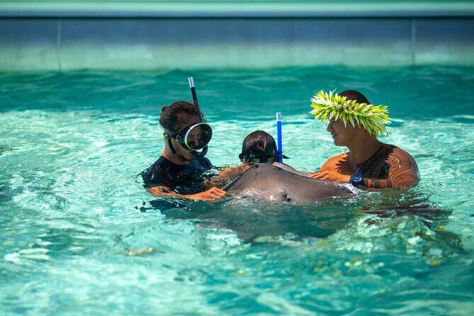 Toa Boat Bora Bora Private Lagoon tour with Lunch On Majestic Pontoon Boat - The Practical Side: Cost, Duration, & Booking