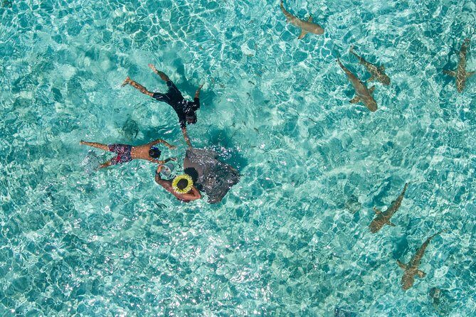 Toa Boat Bora Bora Private Lagoon tour with Lunch On Majestic Pontoon Boat - Who Is This Tour Best For?