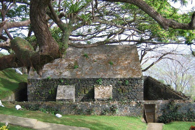 Tobago Buccoo Reef Glass Bottom Boat Cruise and Island Sightseeing Tour - Final Thoughts: Who Should Consider This Tour?