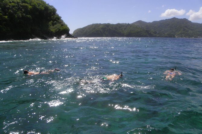 Tobago Buccoo Reef Glass Bottom Boat Cruise and Island Sightseeing Tour - Frequently Asked Questions