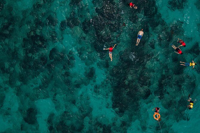 Tobago Buccoo Reef Glass Bottom Boat Tour - Who Should Consider This Tour?