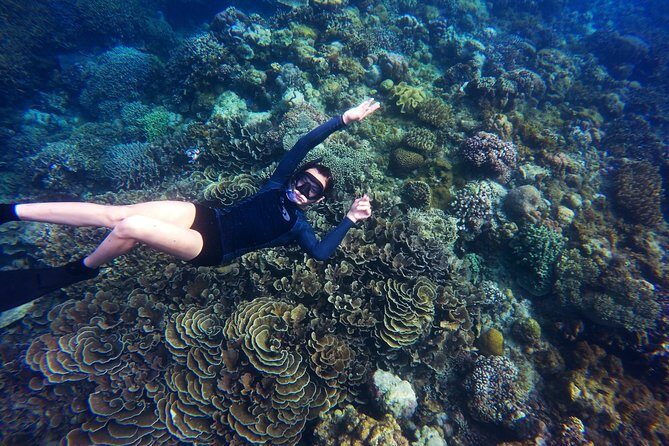 Tobago Buccoo Reef Glass Bottom Boat Tour - FAQ