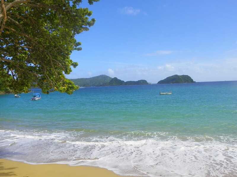 Tobago: Buccoo Reef Glass Bottom Boat Tour - Who Will Love This Tour?