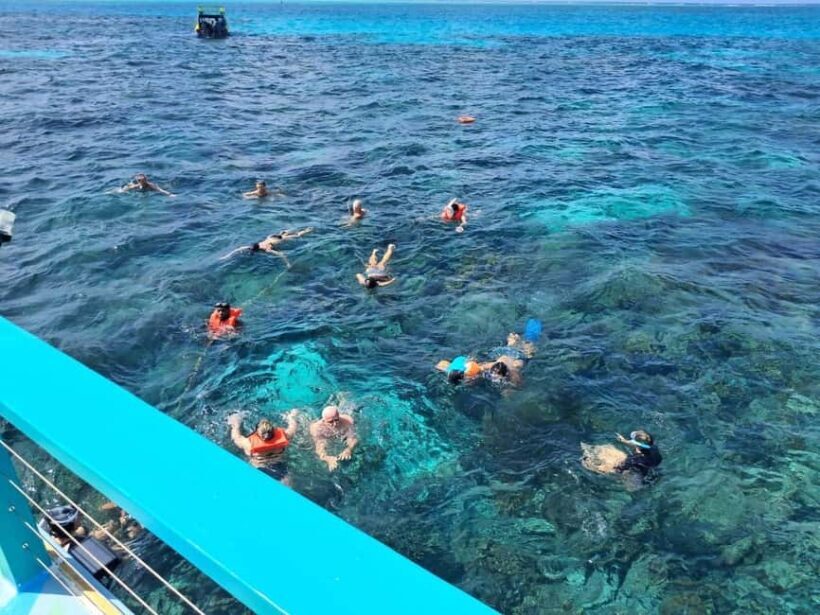 Tobago: Buccoo Reef Marine Park Glass Bottom Boat Tour - Deep Dive: What Makes This Tour Valuable